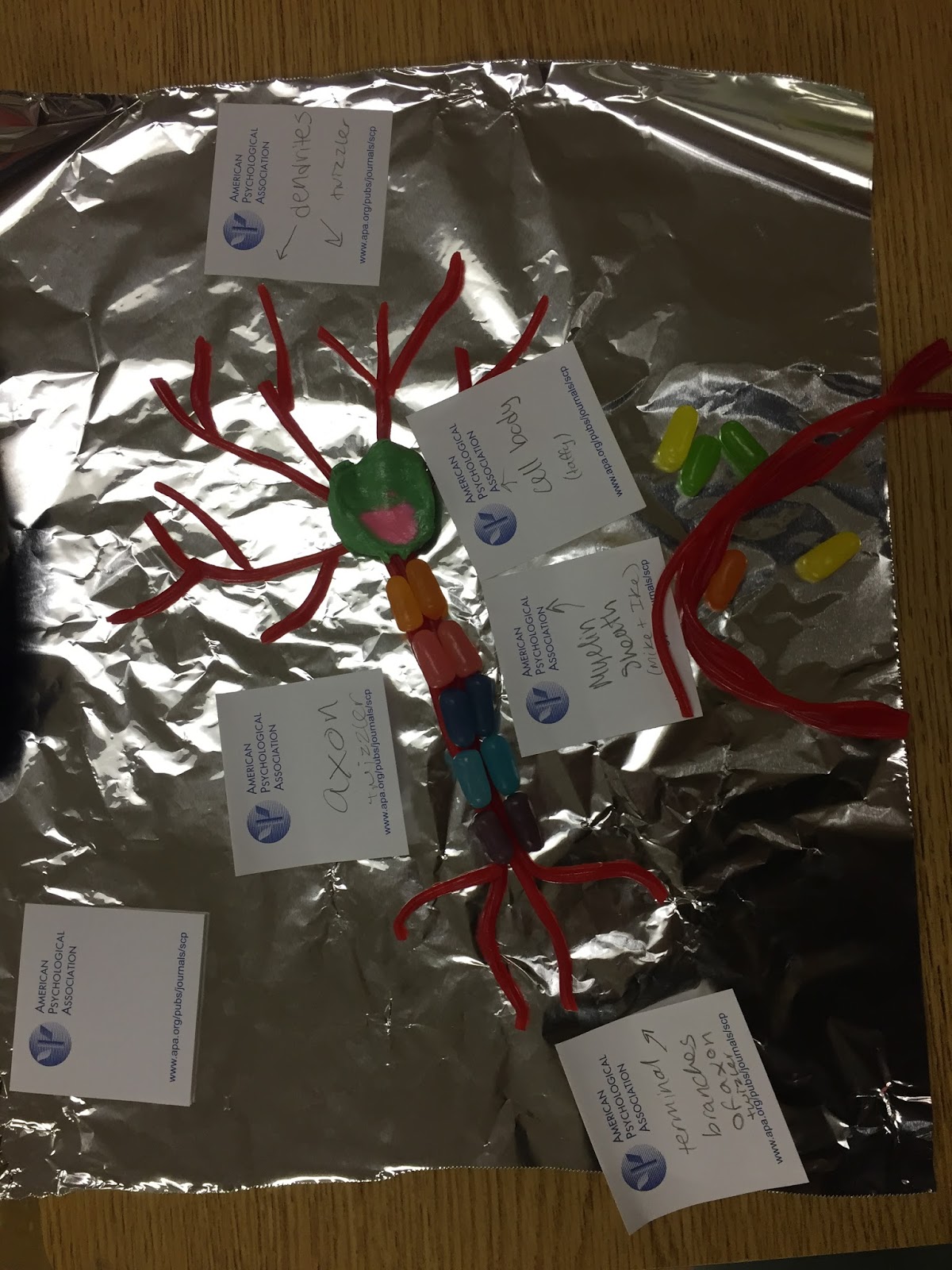 BD PSYCHOLOGY CLASS 2015-2016: Candy Neuron Project
