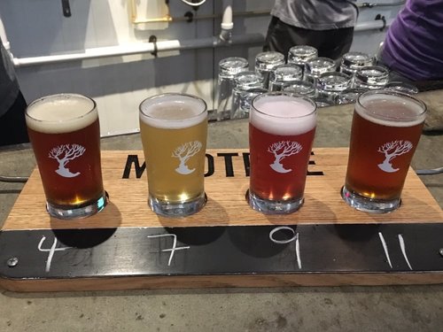 Brewery Review: MadTree Brewing (Cincinnati, OH)