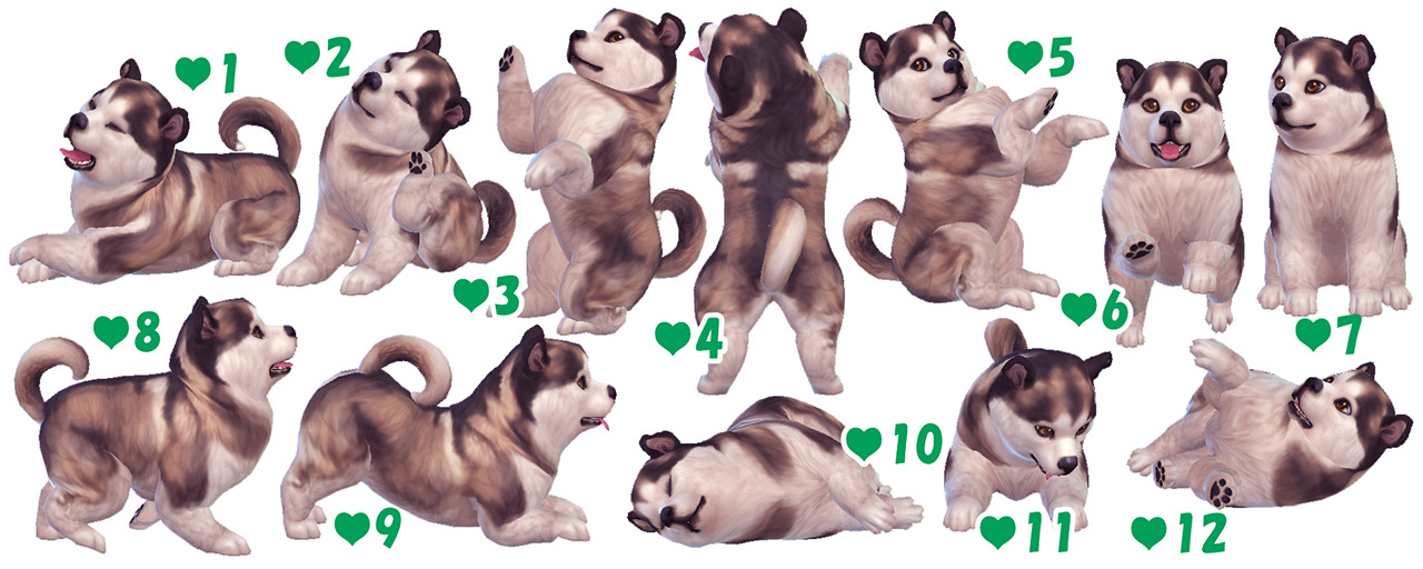 Sims 4 CC's - The Best: Dog Pose (Large,Small,Puppy) by A Lucky Day