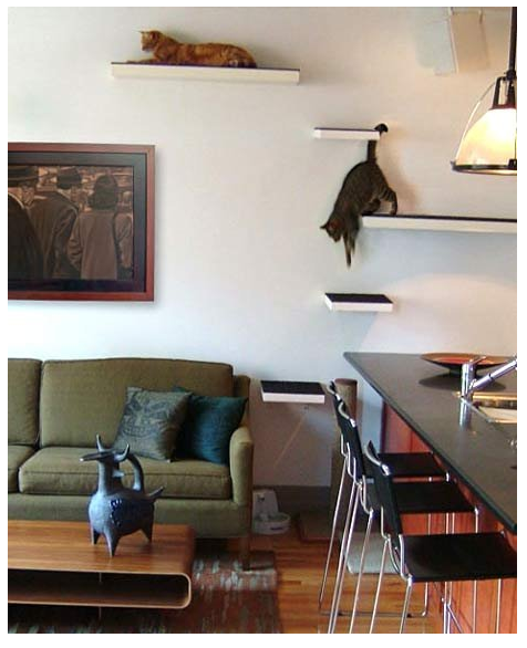 na Companhia do Gato: 7 Tips for a Cat Friendly Home