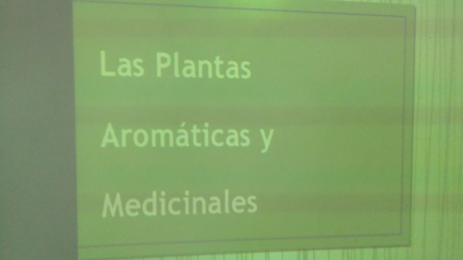 1º e 2º E. Primaria Colexio Possumus: Plantas Aromáticas e Medicinais 1º e 2º E. Primaria Colexio Possumus: Plantas Aromáticas e Medicinais