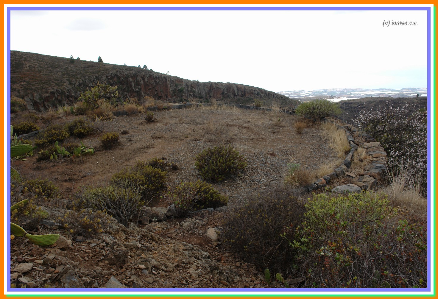 Tenerife senderos......: TENERIFE SENDEROS --GUIA ISORA-- EL JARAL -LAS ...