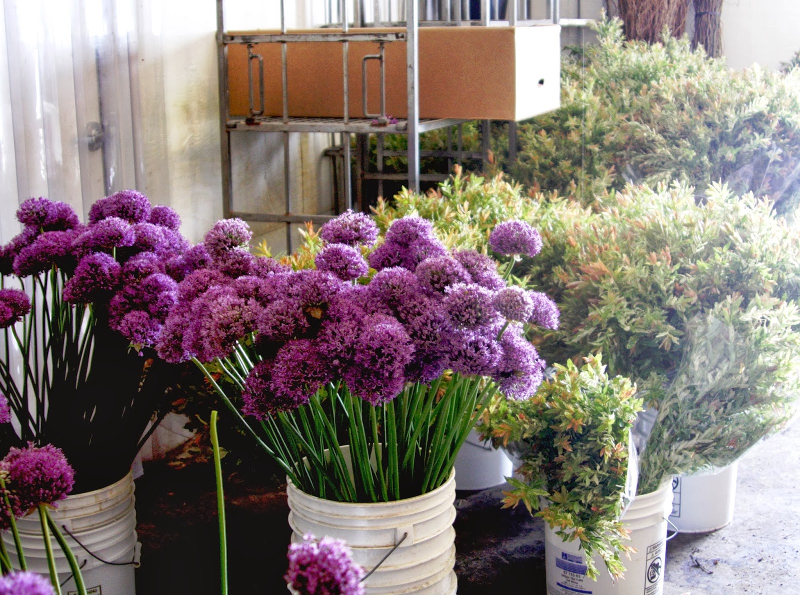 Sneha Florist, Floral Arrangement Service Provider in Bangalore: Get ...