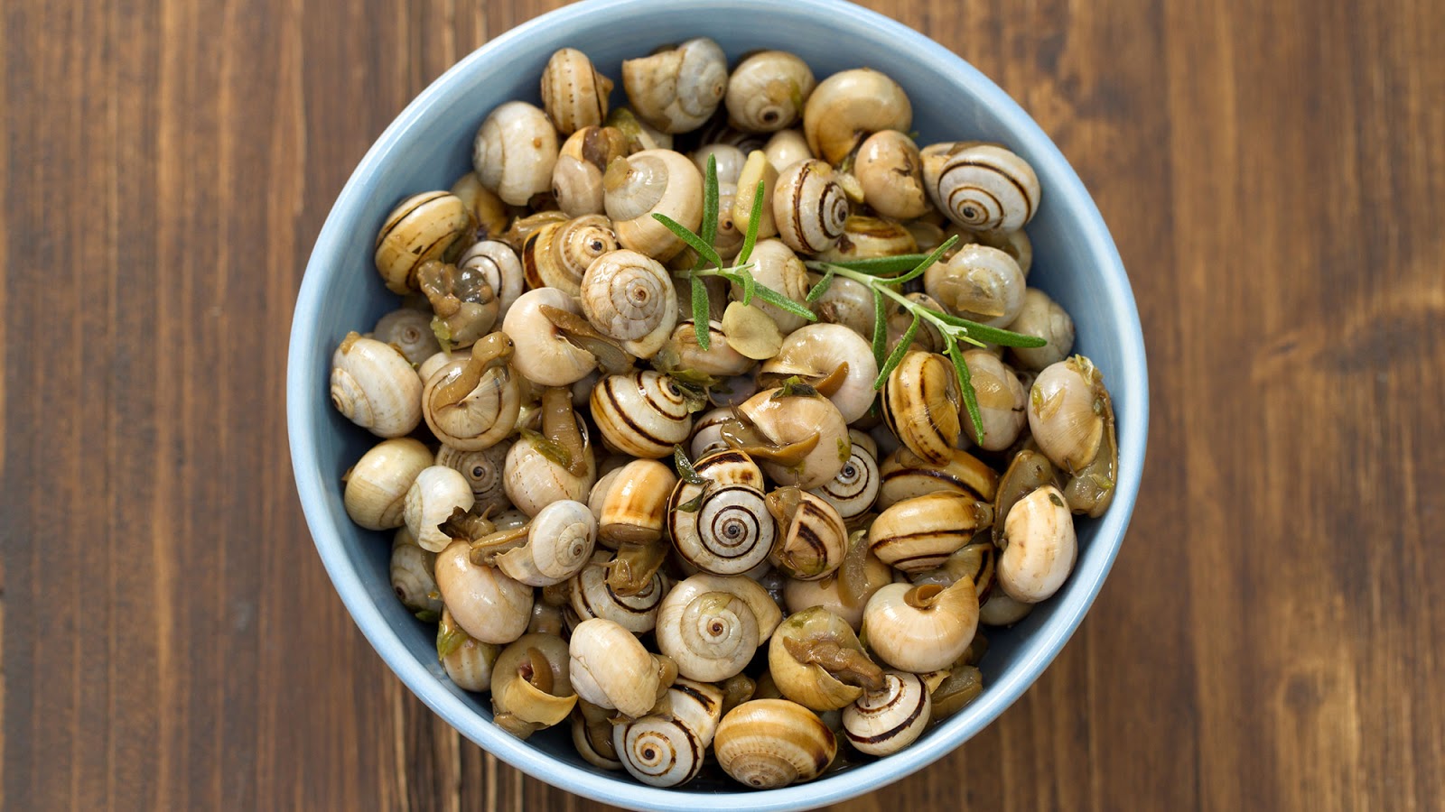 Receitas de Portugal: A melhor receita de Caracóis à Portuguesa