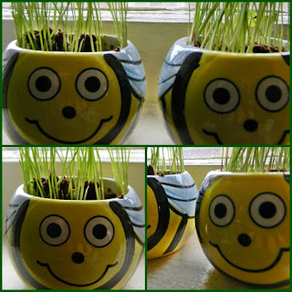 A Musing Potpourri: Courting Spring: Buzzy Grass Grow Kit