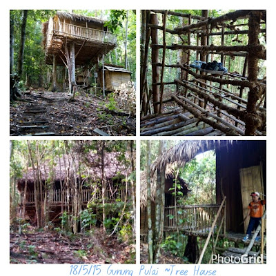 靓师奶: Gunung Pulai~树屋/Tree House /Rumah atas pokok