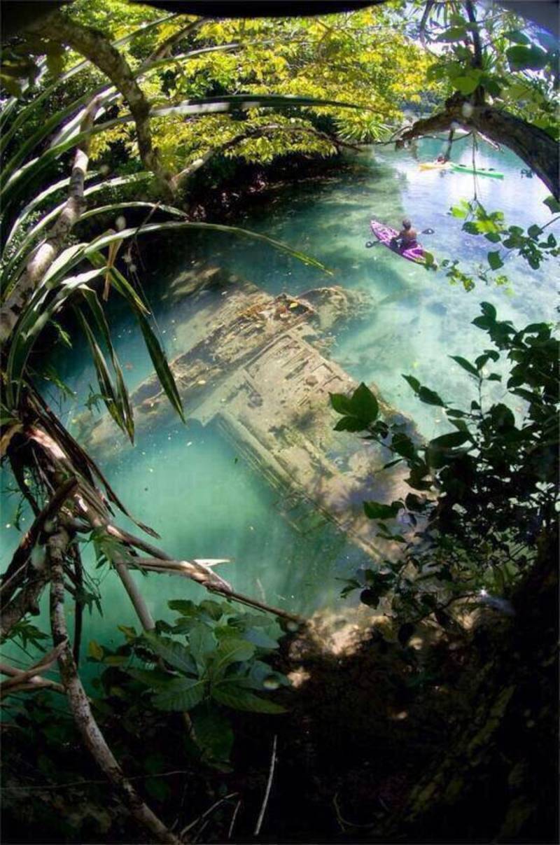 Info TEA: Earth without humans...