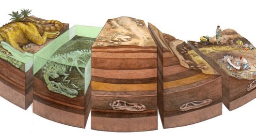 Cataclysmic Continental Shift: How Fossils Are Really Formed