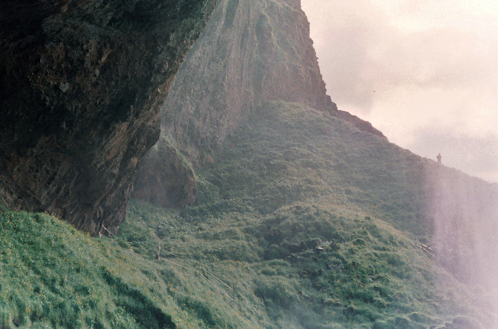 microphones in the trees: tuluum shimmering / clime