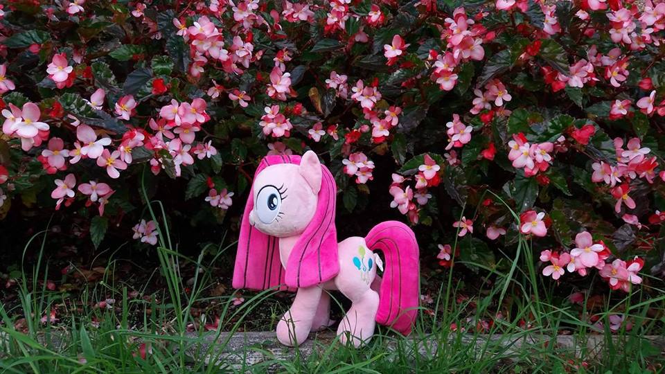 Equestria Daily - MLP Stuff!: Pinkie Pie Day Wraps Up!