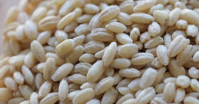 Ide 32+ Rumput Barli