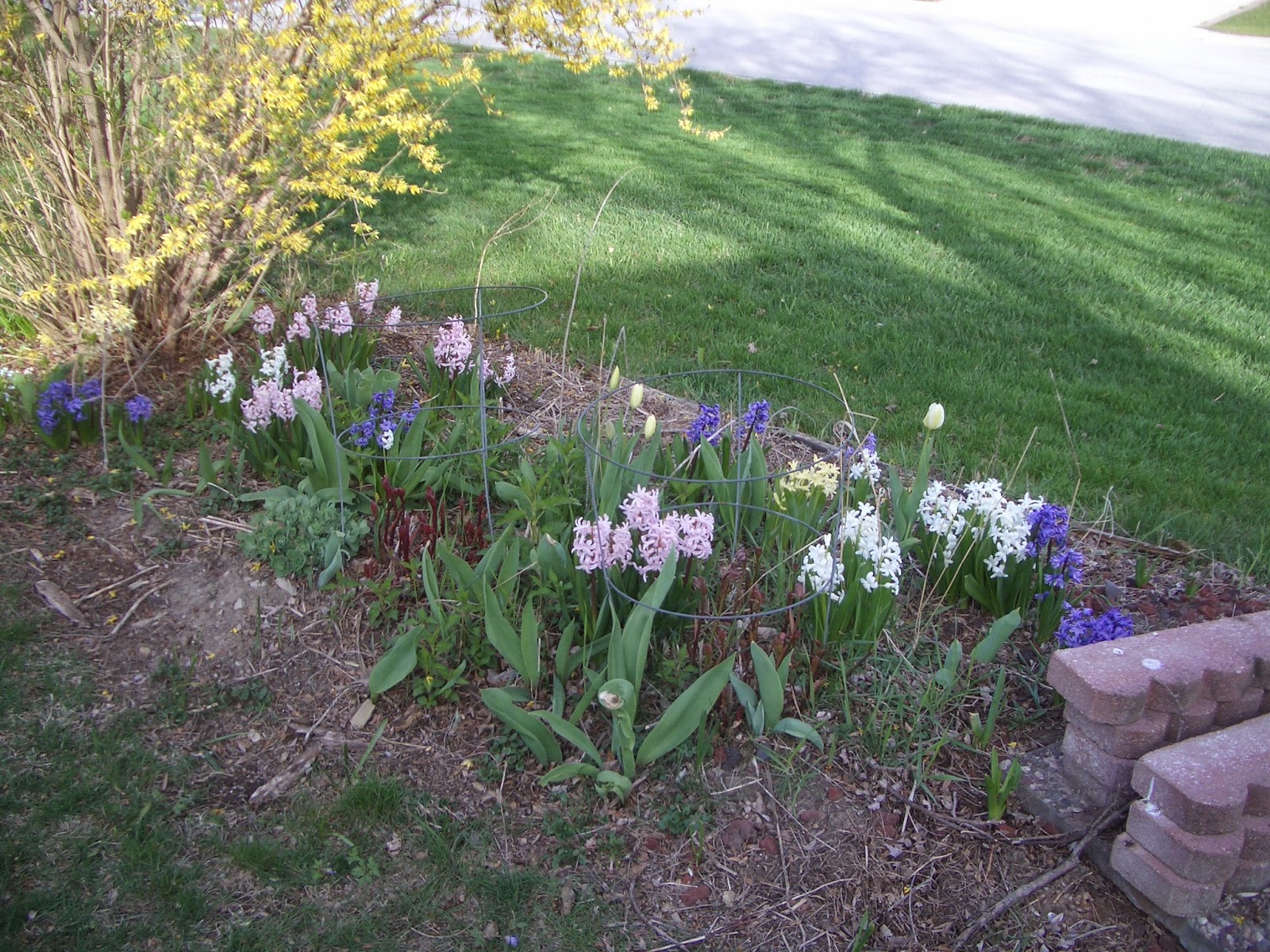 JUST DUCKY!: April 2015