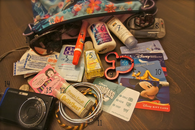 Picturing Disney: In My Bag- Twenty Essentials For the Perfect Disney ...