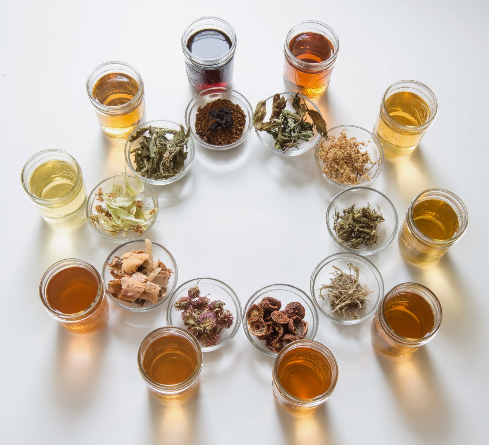 The 3 Foragers: Foraging for Wild, Natural, Organic Food: Winter Tisane ...