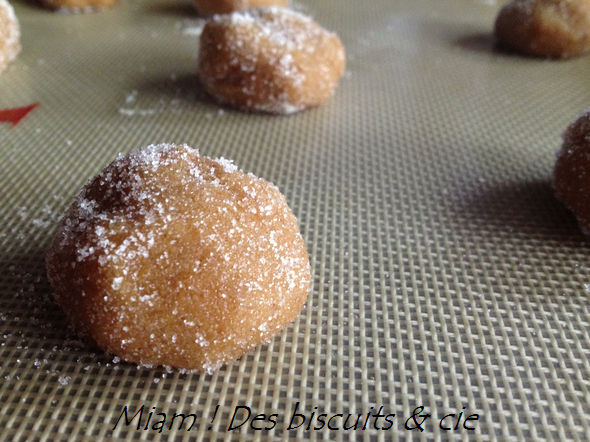 Ginger Snaps à l'orange - Miam ! Des biscuits