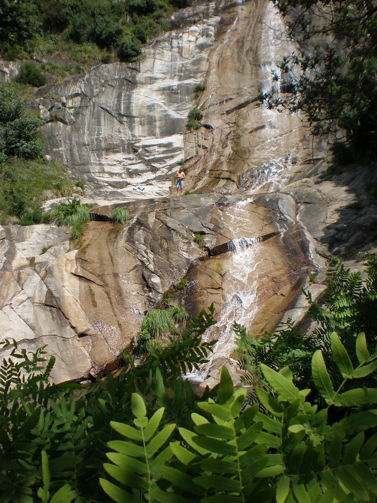 CAMINAR Y SENTIR: UN DIA EN EL PARC DEL RACC EN GUALBA
