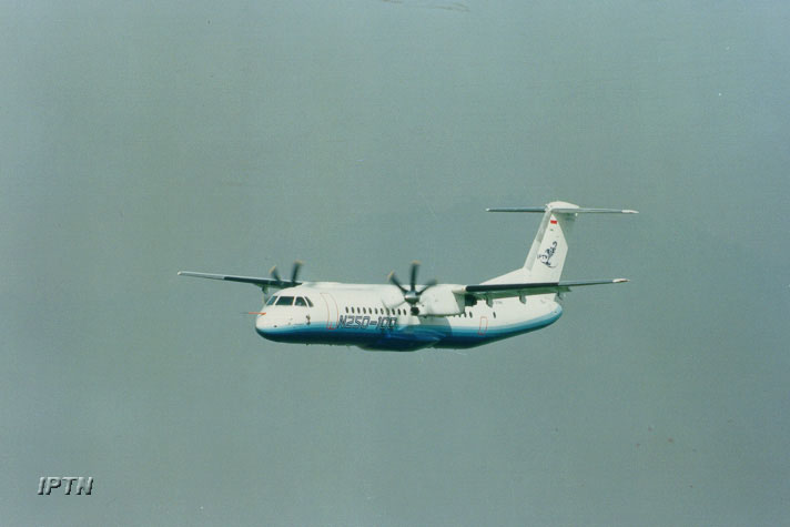 WEAPONS TECHNOLOGY: N 250