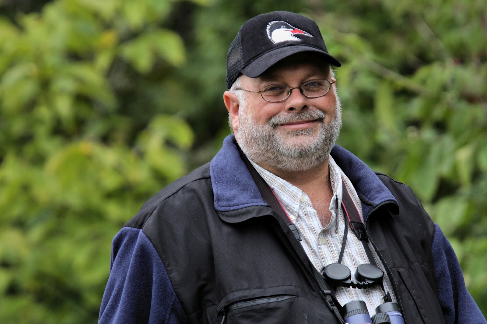 Birds from Behind : Lifer!