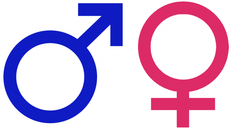 MACHISMO Y FEMINISMO