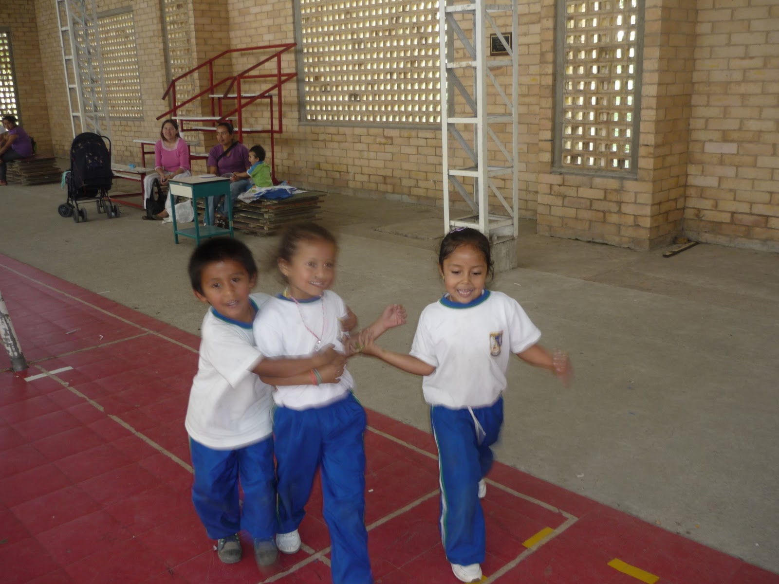 proyecto polimotor semillas