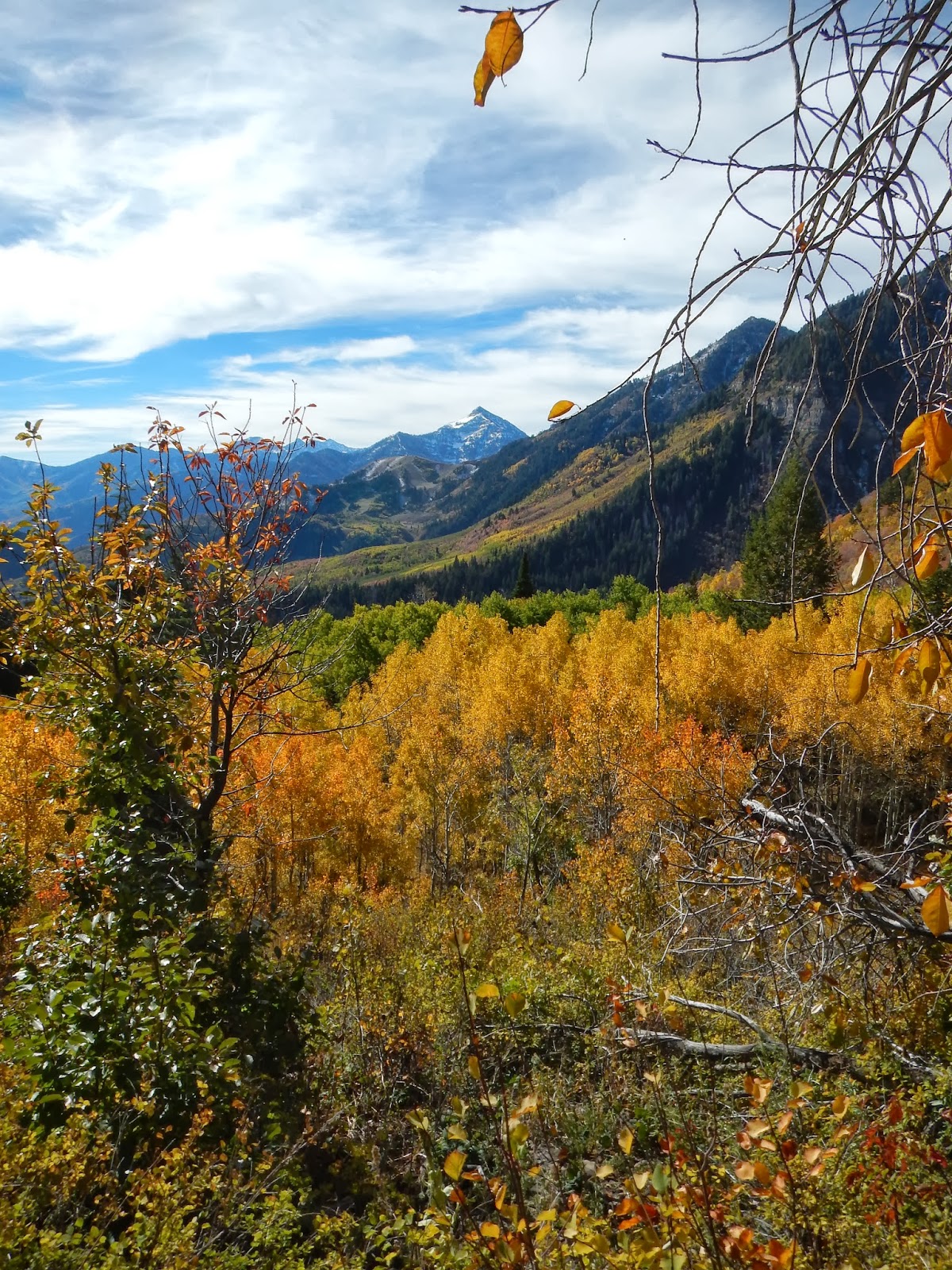 A Place to Share: Alpine Loop Fall 2013