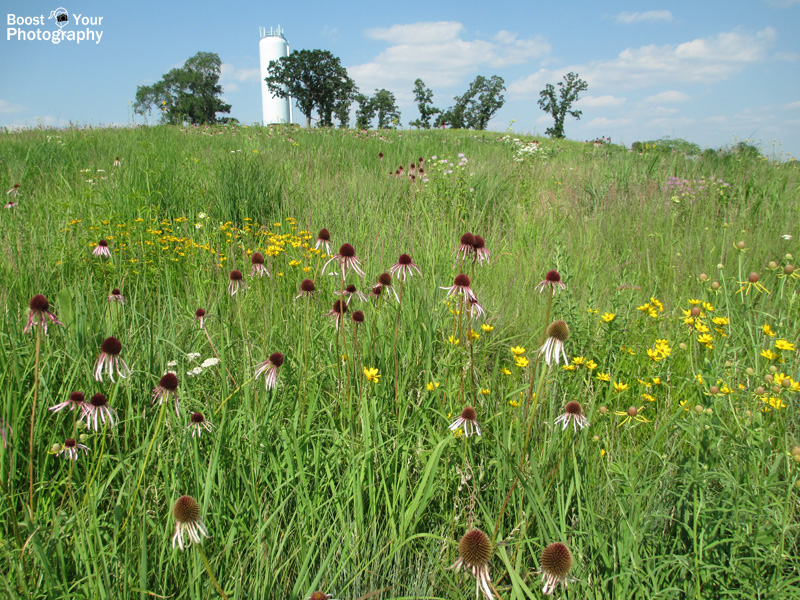 Composition: Orientation | Boost Your Photography