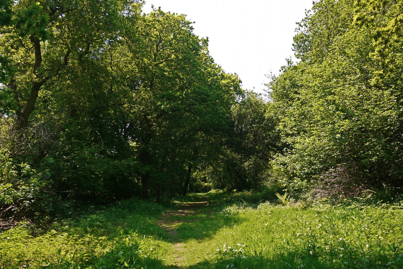 Walking in the country: Selborne and Noar Hill