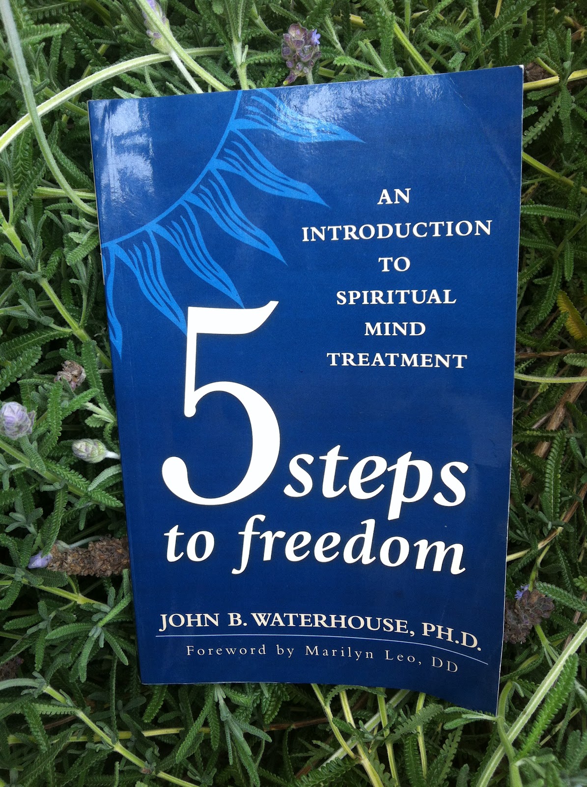 Science of Mind Book Review 5 Steps to Freedom – Center for Spiritual ...