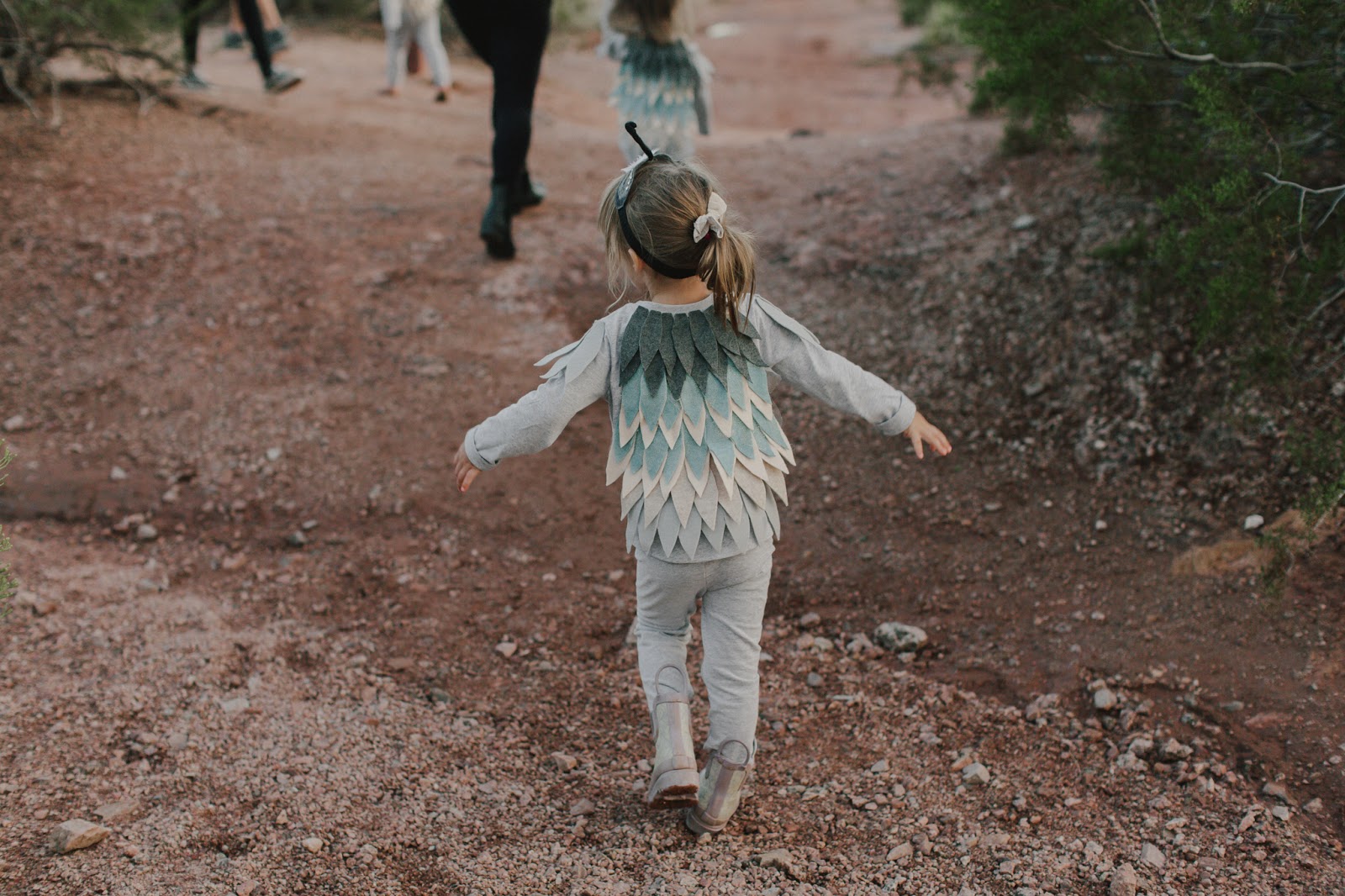 Coley Kuyper: DIY Quail Family Costumes