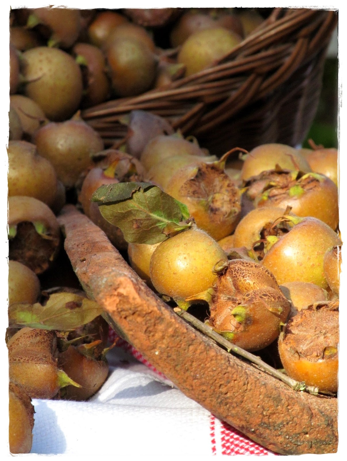 Hoorn Des Overvloeds: Mispels