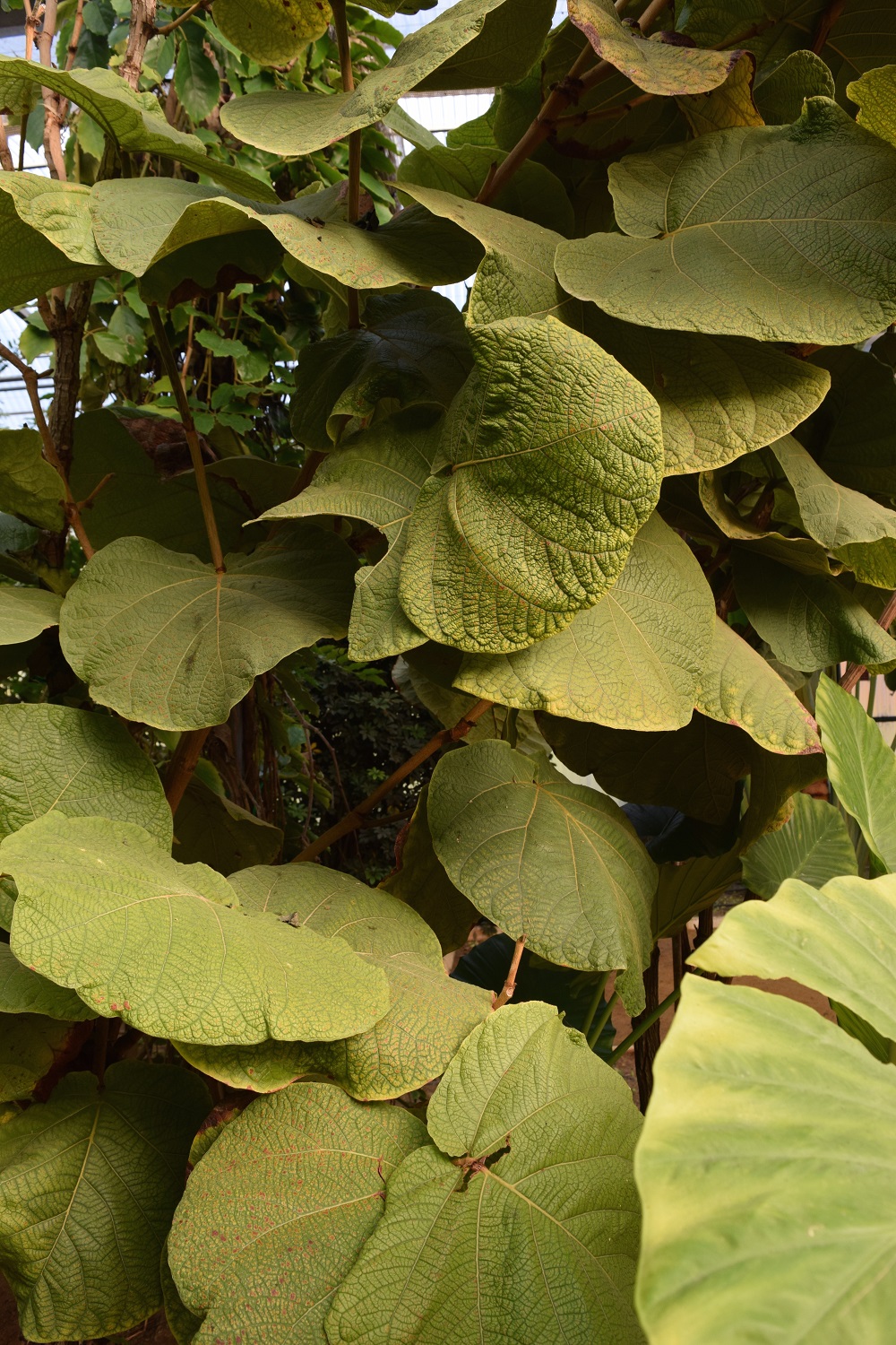 Centro Integrado de Paisajismo y Agroecología, S.Coop.And. (CENINPA ...