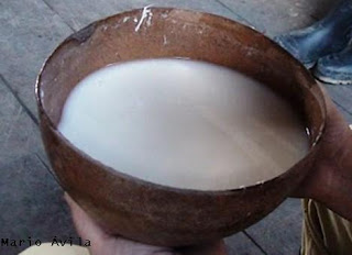 comidas ecuatorianas: chica de yuca o chonta comida tradicional del oriente