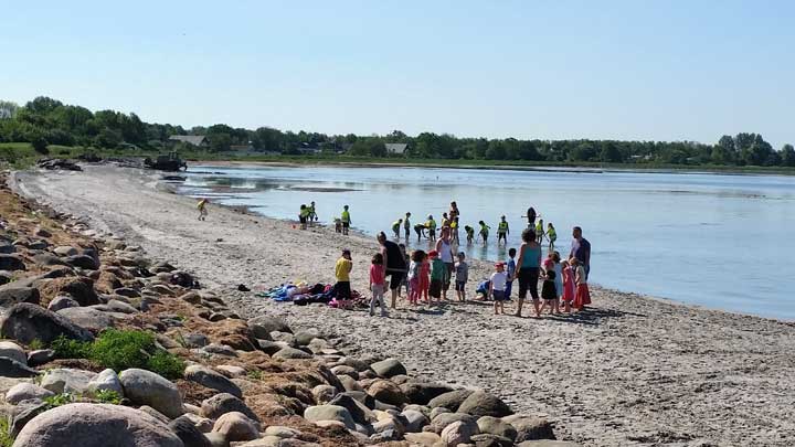 Calle Rockbäcks BLOGG: Ny badstrand i Lomma