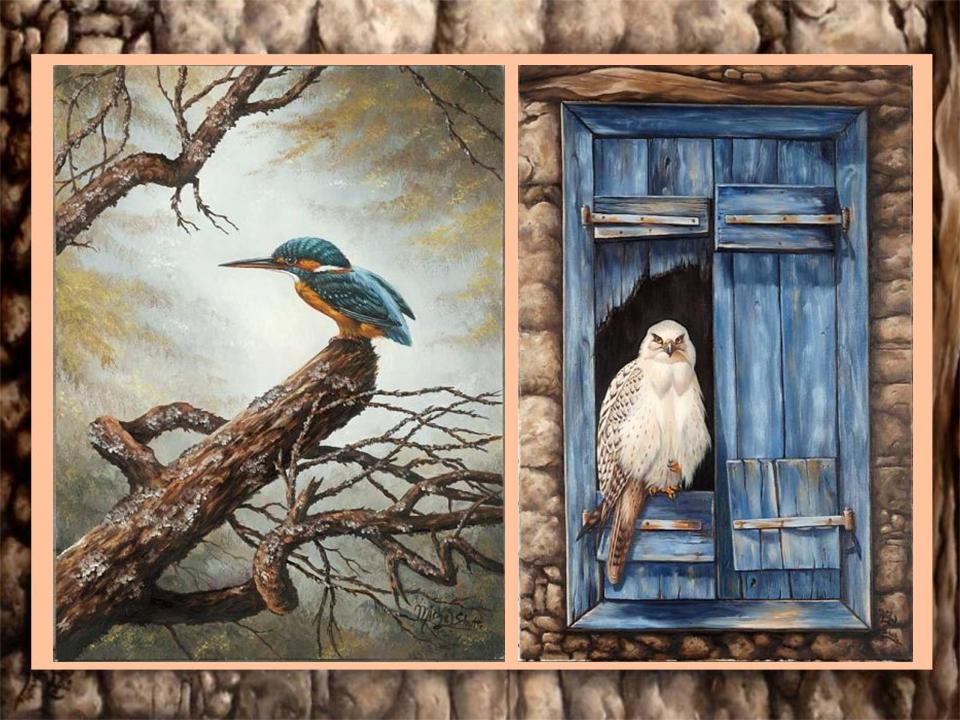 Soloillustratori: Michael Schutte