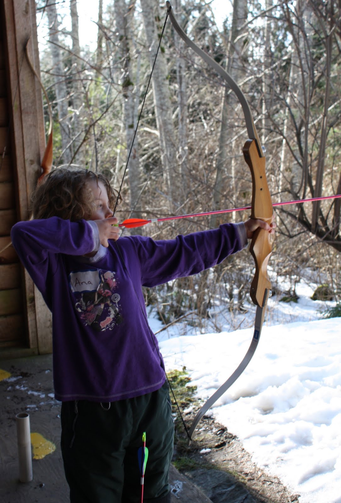 Adoptive Families of Aboriginal Children in B.C.: First Nations/Metis ...