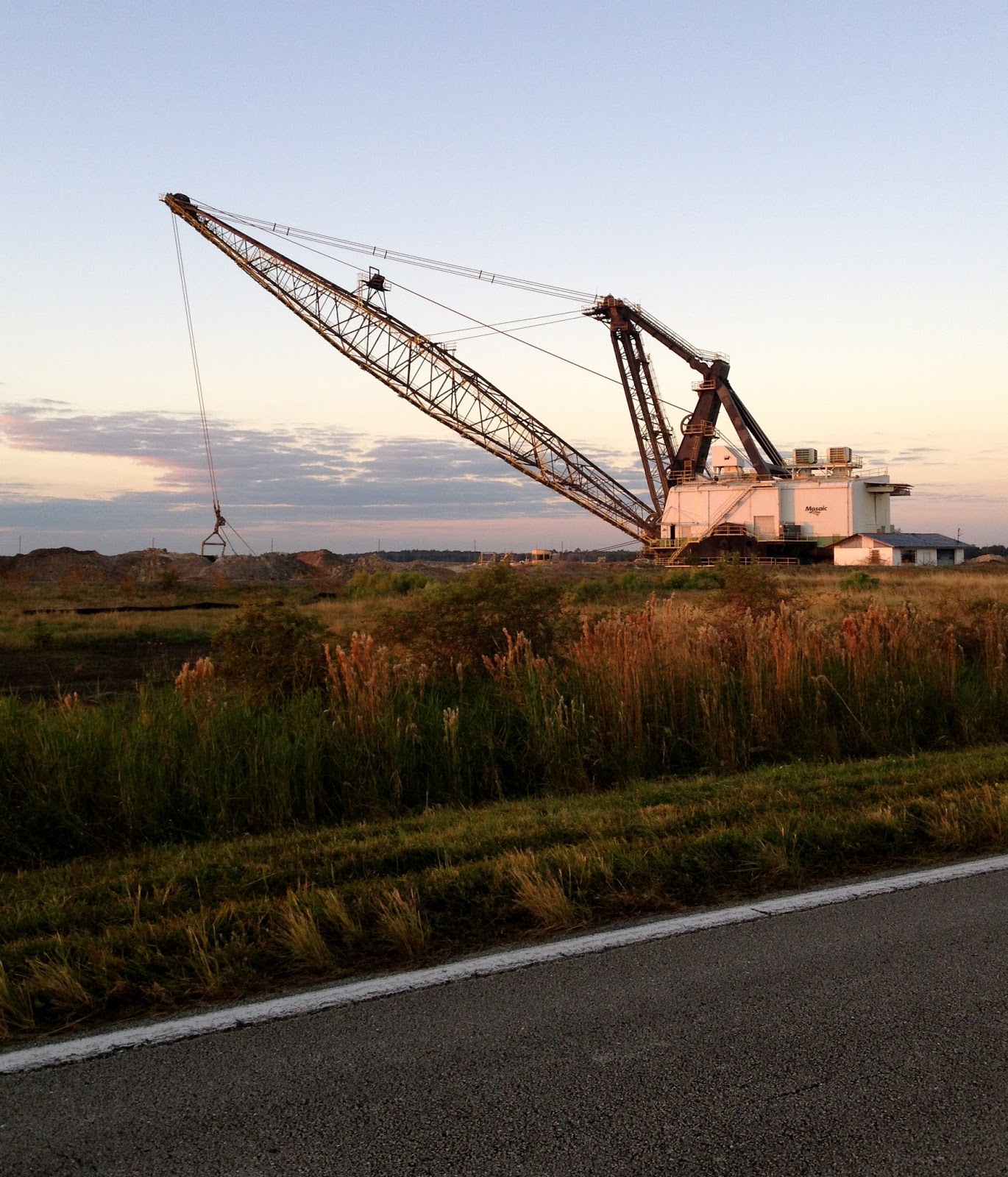 Zookeeper Fossils: Mining for fossil gold