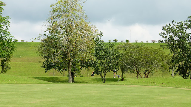Golf course with trees free picture for commercial use