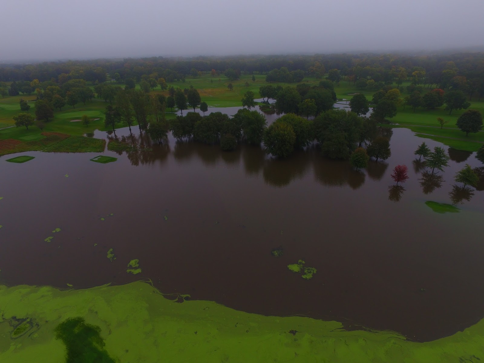 Medina Golf and Country Club: 2016