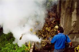Apa Kandungan Asap Fogging? ~ Kau Tahu Tak??