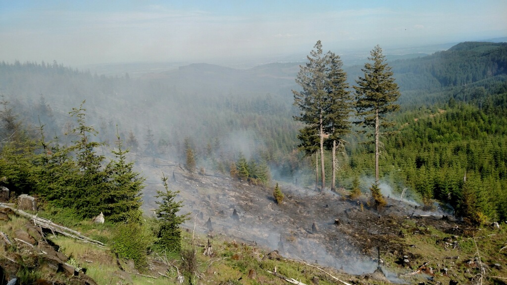 Tillamook State Forest Blog: MId-May Wildland Fires Act as Early Fire ...