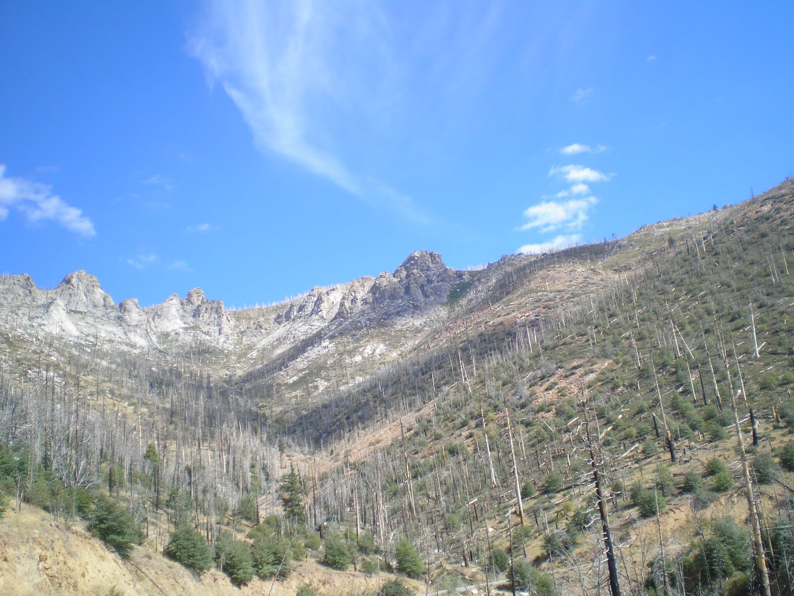 The Road Genealogist: Sherman Pass, CA - Best View of the Sierra Passes