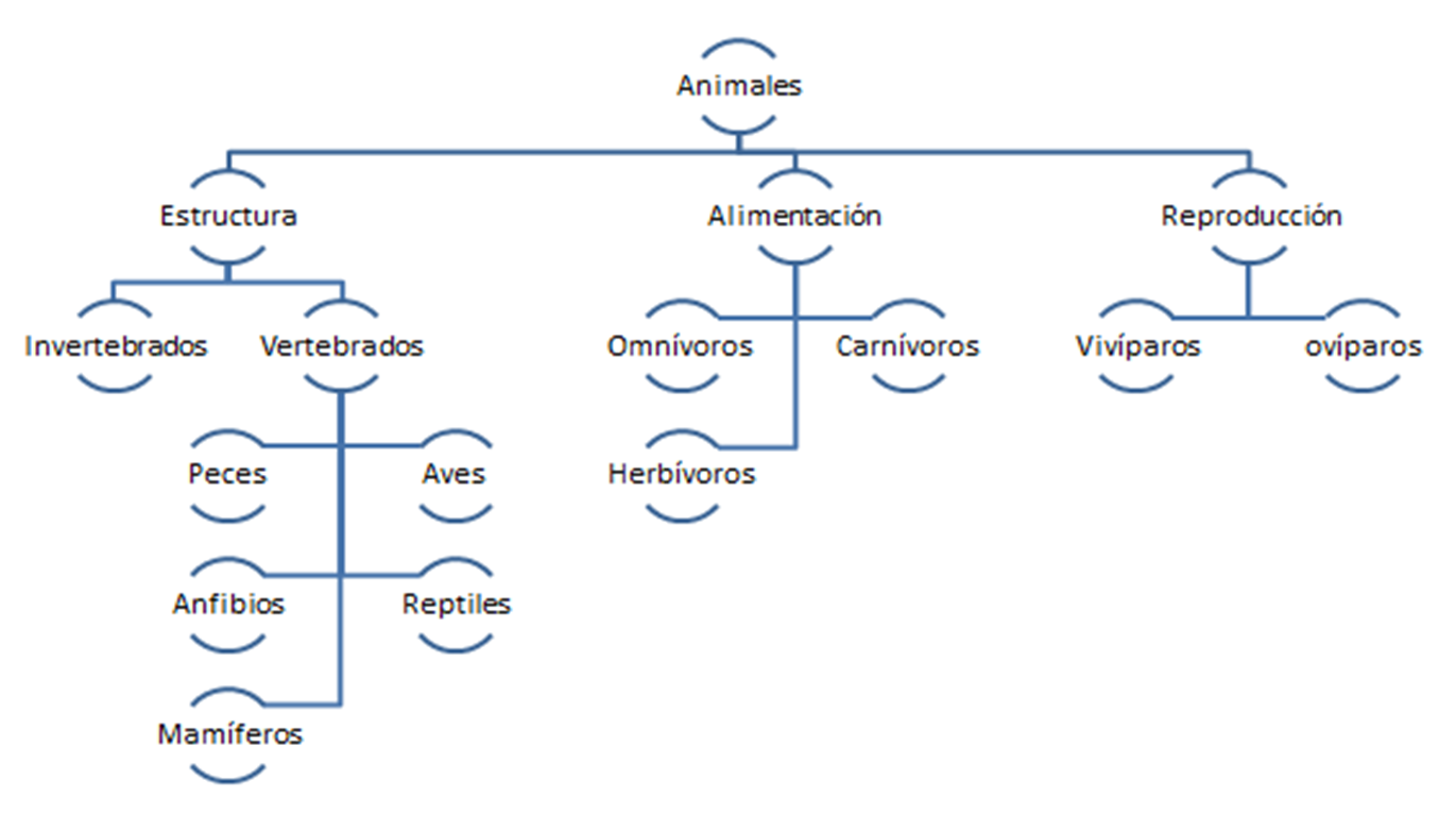 Animales: Esquema de la clasificación de los animales
