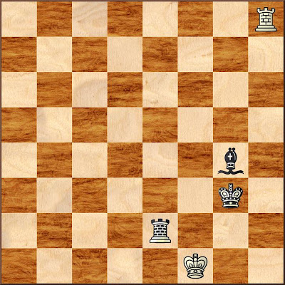 Chess Skills: Rook and Bishop versus Rook