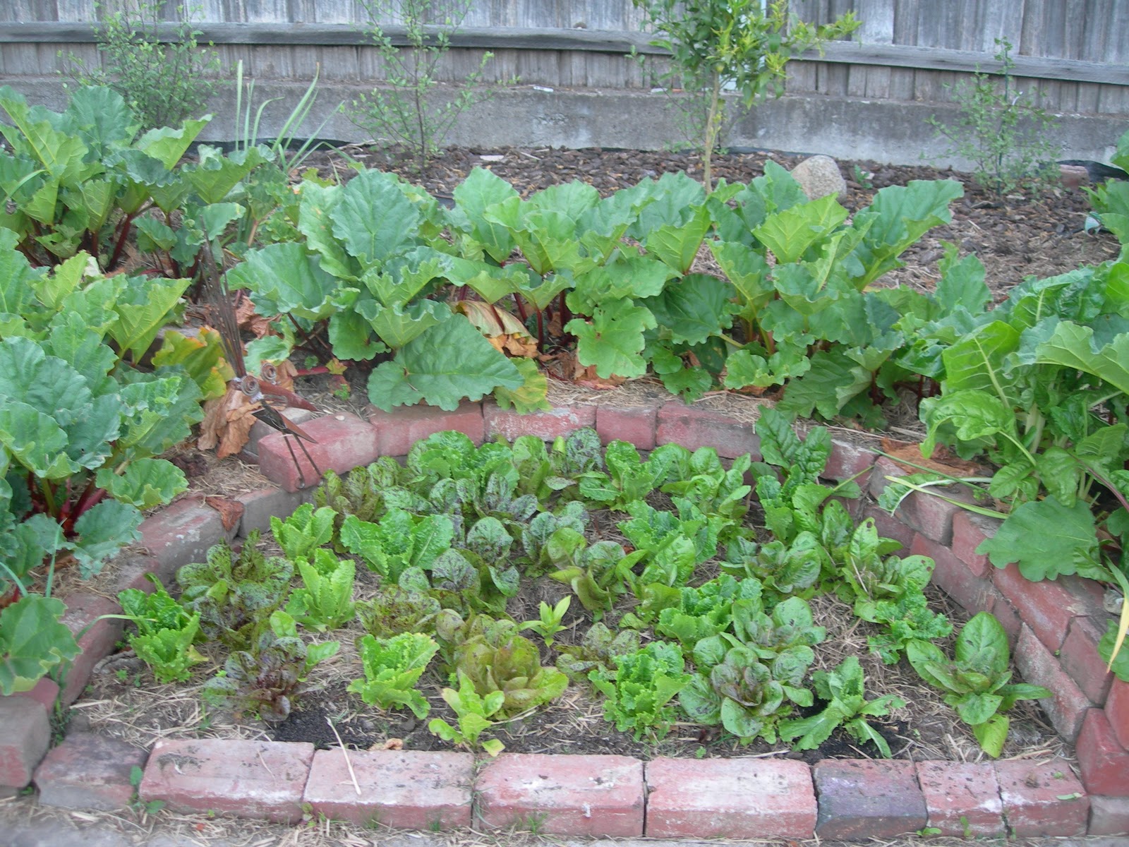 Polystyrene Garden Junkie