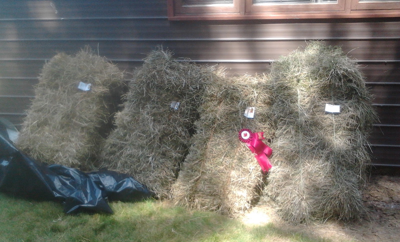 Occidental Acres: Old-Time Country Fair