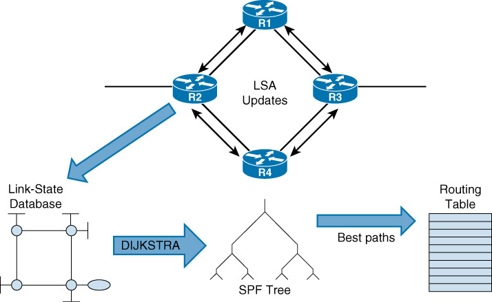 OSPF OVERVIEW - NETWORK