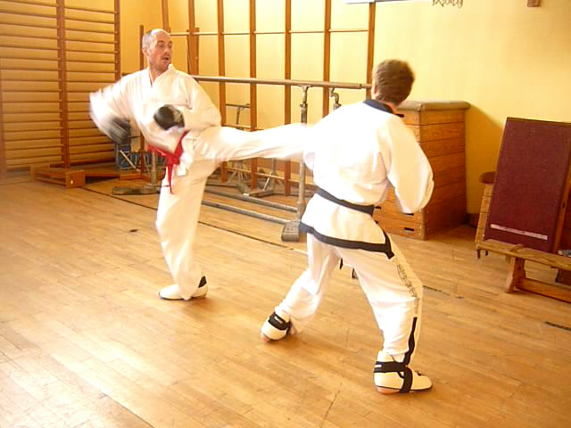 AMERICAN DOJO - Taekwondo/Tangsoodo - Sport Karate/ Kickboxing ...