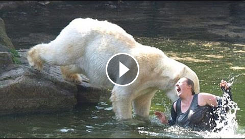Fun 169 HD: Extreme animal attacks on humans