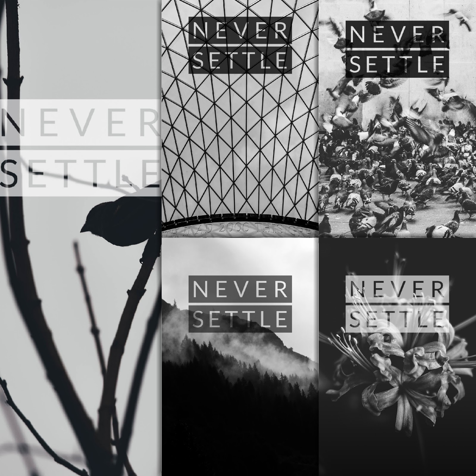Never Settle Wallpaper Pack 15 - Black & White Edition (32 Wallpapers ...