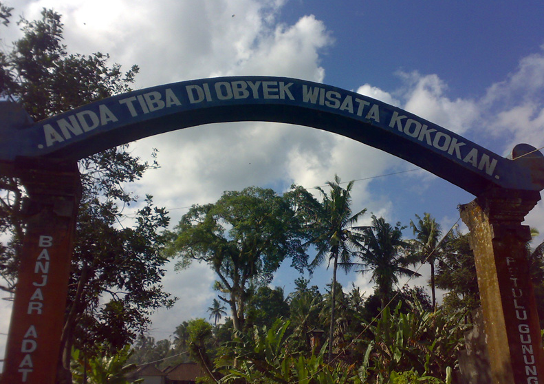 Info Wisata Kokokan Petulu – Kawanan Burung Bangau Di Bali